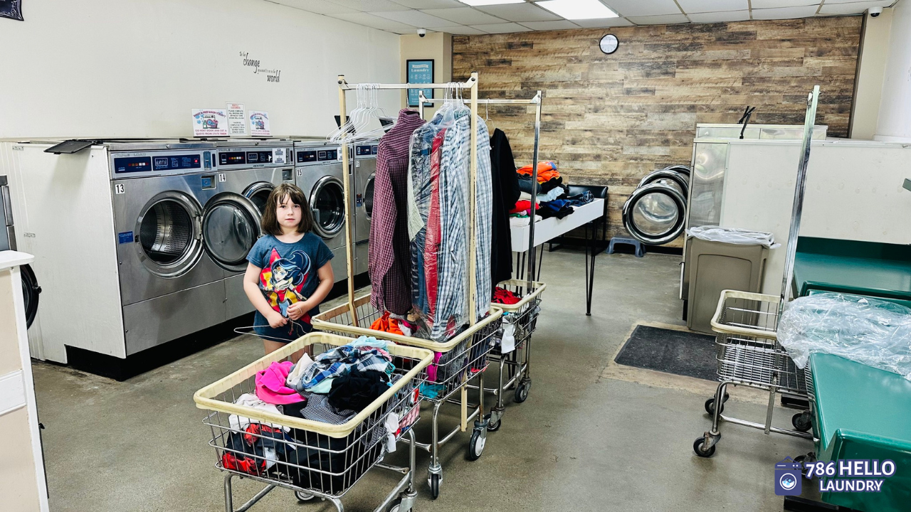 Premium Wash Dry Fold Drop Off Laundry Service Near Harmony Grove ...
